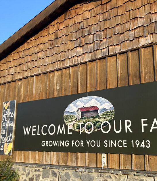 georgia fried pies cafe ftr