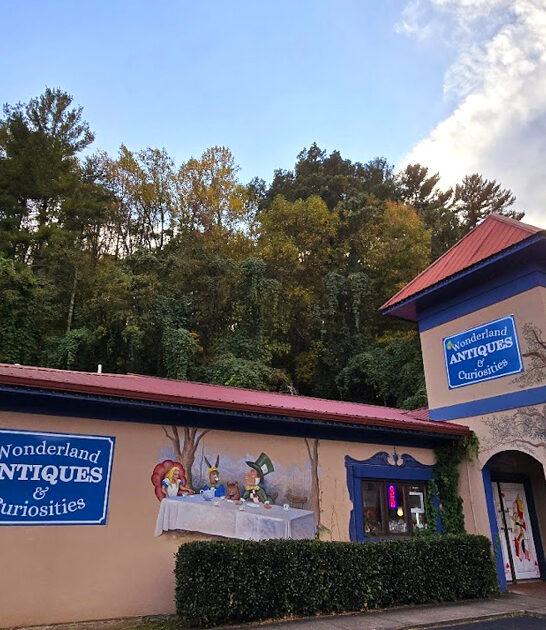 georgia funky oddity store ftr