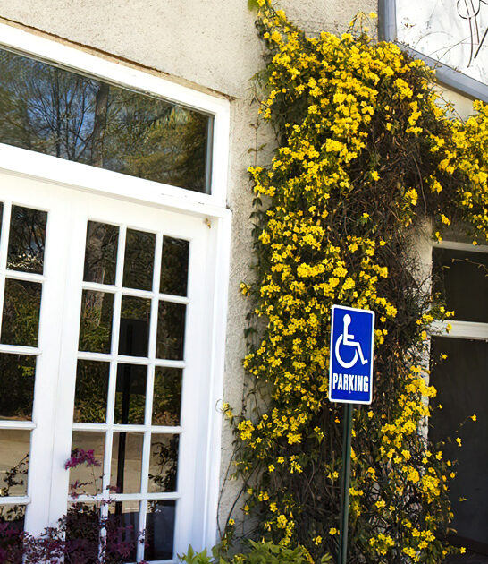 georgia good onion soup ftr