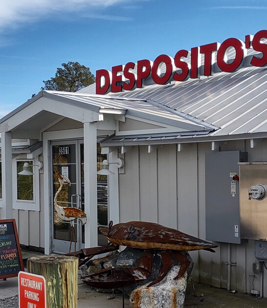 georgia good seafood ftr