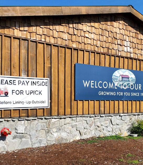 georgia legendary fried pies ftr