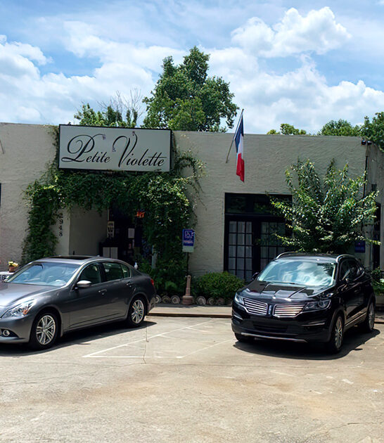 georgia onion soup restaurant ftr