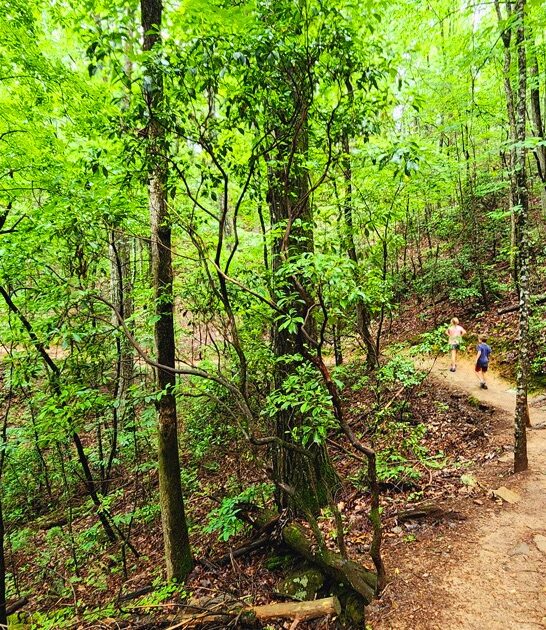 georgia picturesque trail ftr