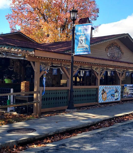 georgia sandwiches general store ftr
