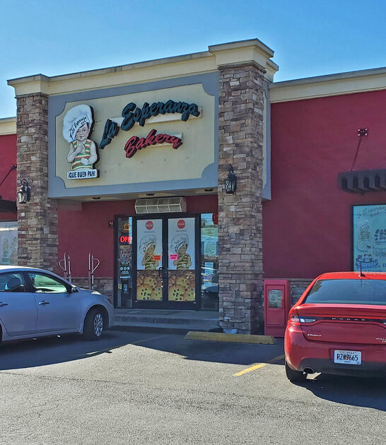 georgia savory tamales dream ftr