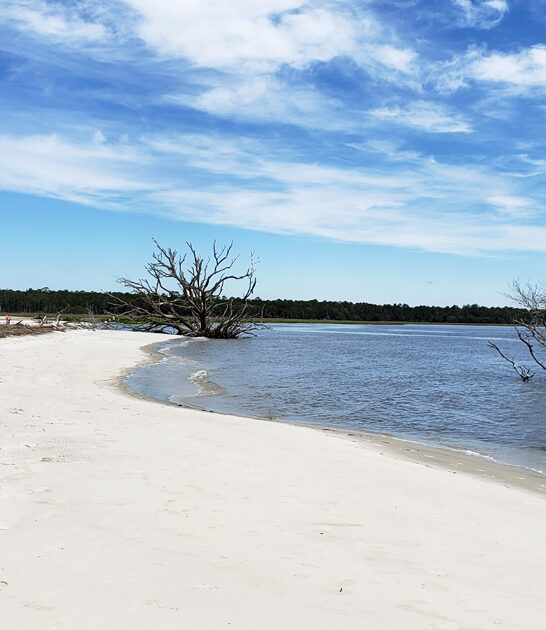 georgia secret beach ftr