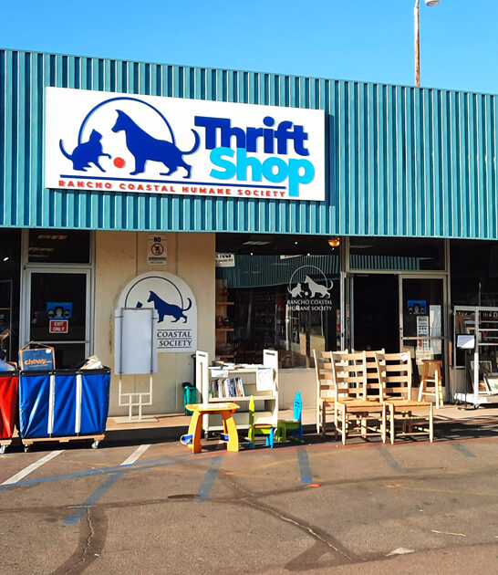 gigantic discount stores california ftr