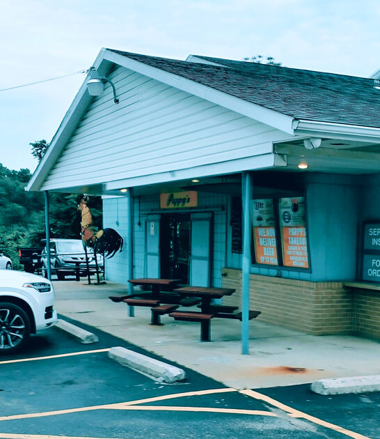 good pennsylvania fried chicken ftr