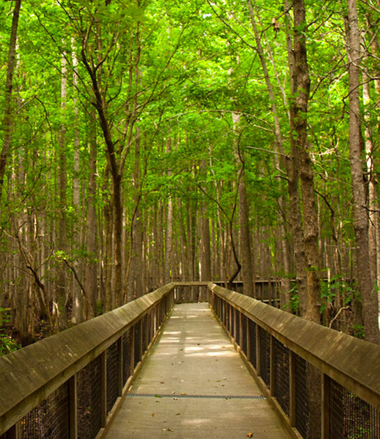 gorgeous arkansas state park ftr