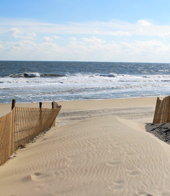 gorgeous beach delaware ftr