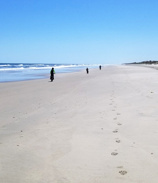 gorgeous beach virginia ftr
