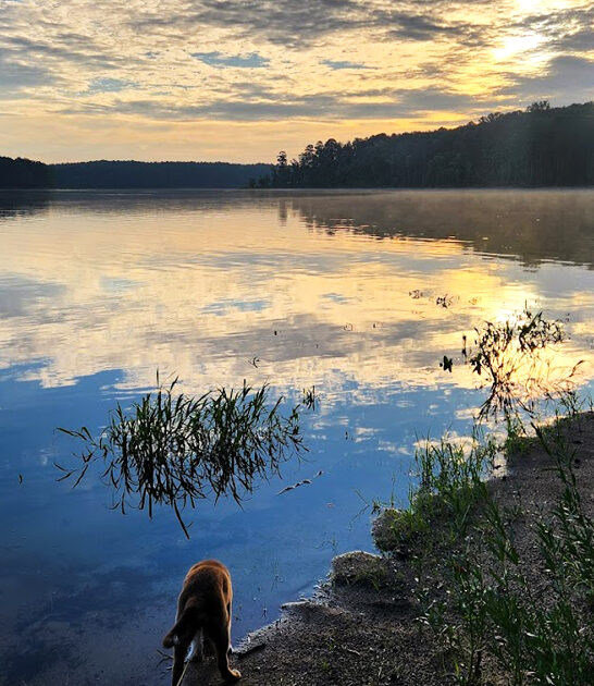 gorgeous campground north carolina ftr