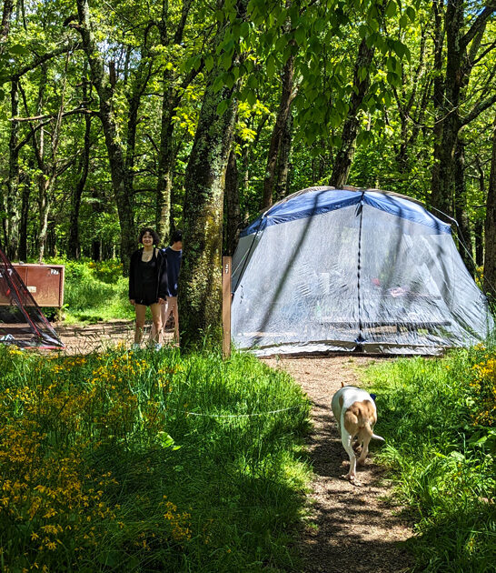 gorgeous campground virginia ftr