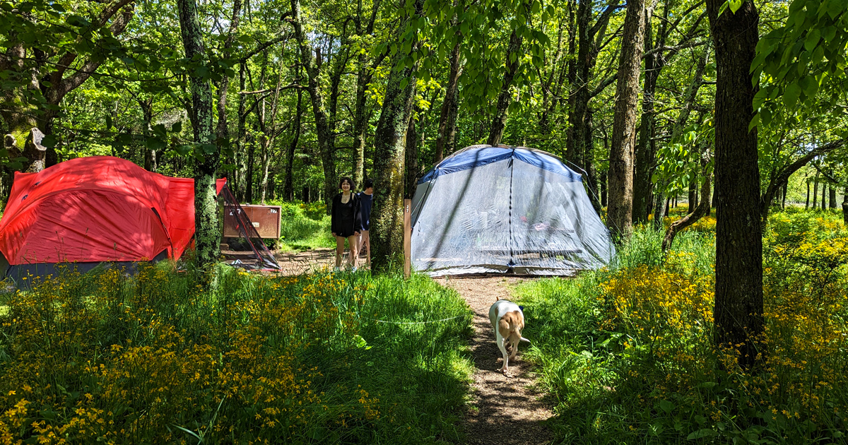 You Won’t Believe This Gorgeous Campground In Virginia Is Still A Secret