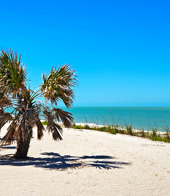 gorgeous florida beach ftr