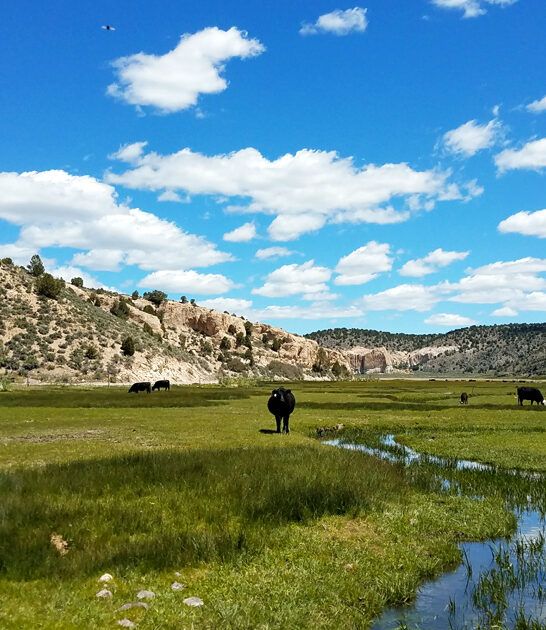 gorgeous nevada weekend unforgettable ftr