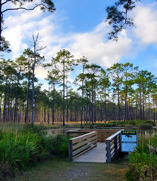 gorgeous park florida ftr