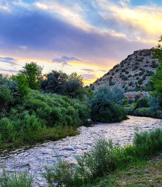 gorgeous parks new mexico ftr