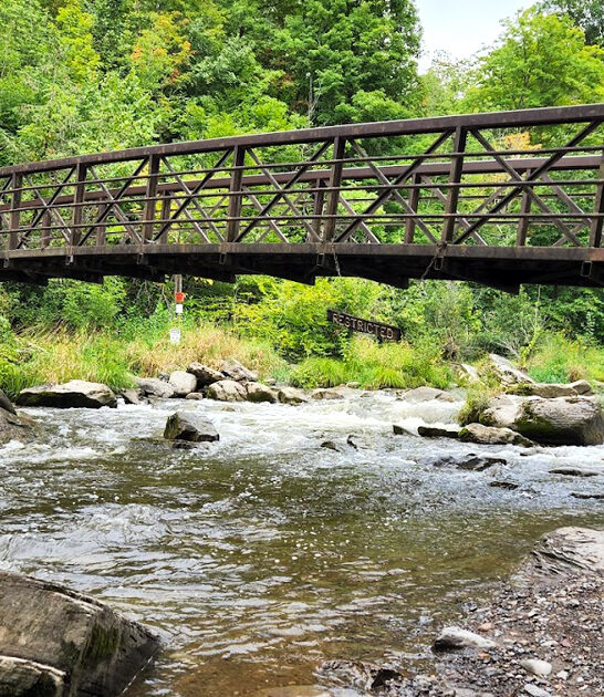 gorgeous parks new york ftr