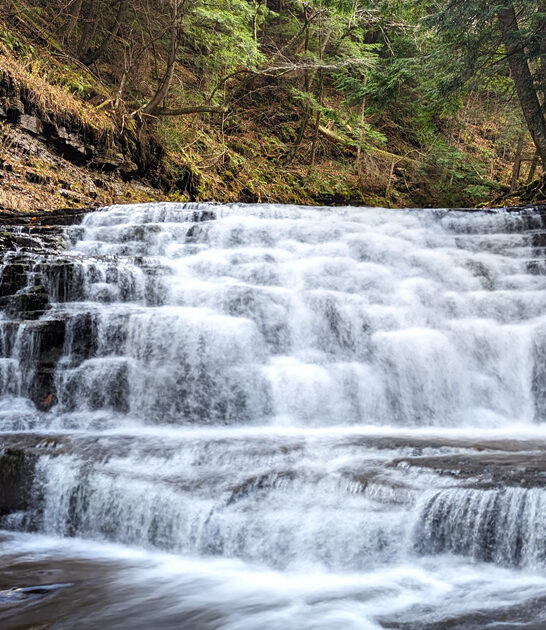 gorgeous state park pennsylvania ftr