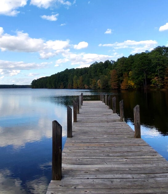 gorgeous state parks louisiana ftr