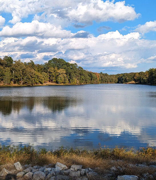 gorgeous state parks mississippi ftr