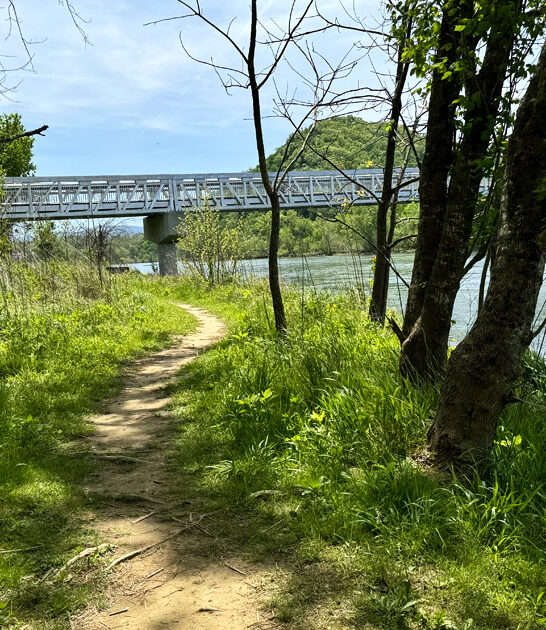 gorgeous state parks tennessee ftr
