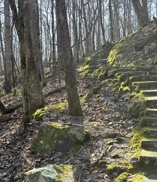 half mile hike mississippi ftr