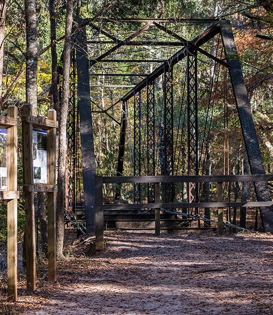 hauntingly beautiful bridge florida ftr