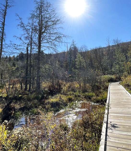 hike west virginia scenic ftr
