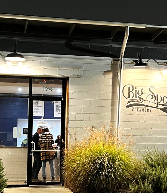 homemade ice cream alabama ftr