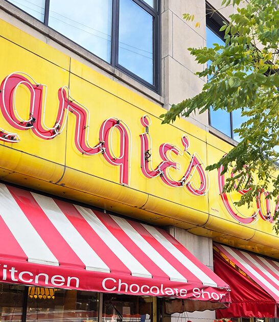 homemade illinois ice cream ftr