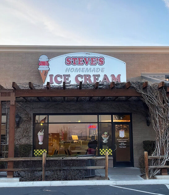 homemade nevada shop scoop ftr