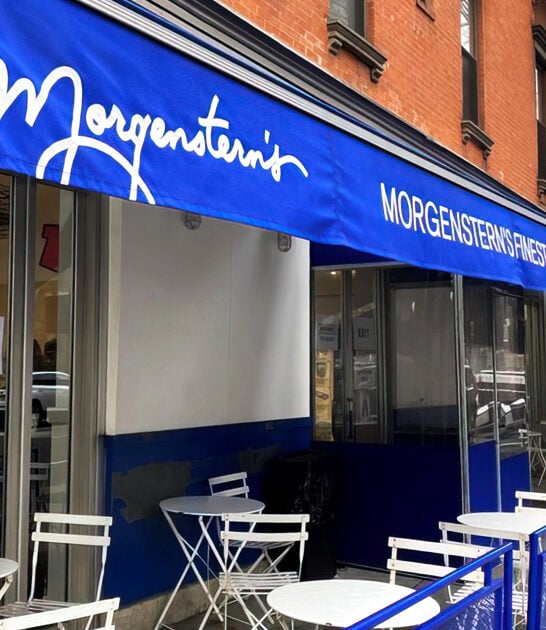 homemade new york scoop ftr