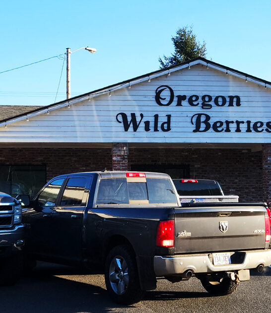 homemade pies countryside oregon ftr