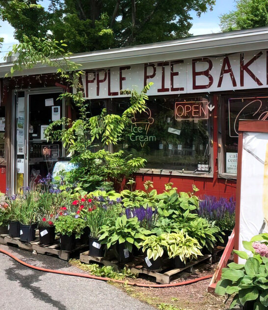 homemade pot pies pennsylvania ftr