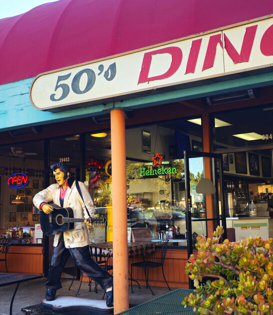 homey diners california comfort ftr