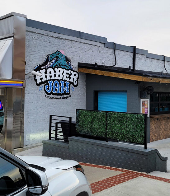 homey georgia diners ftr