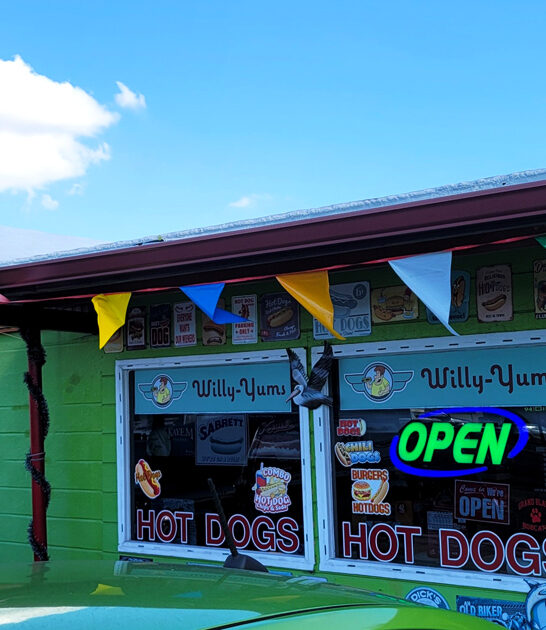 hot dogs florida ftr