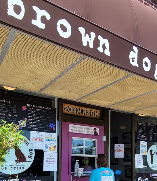 ice cream shop virginia ftr