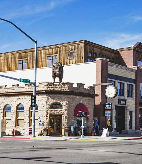 idaho best huckleberry dishes ftr