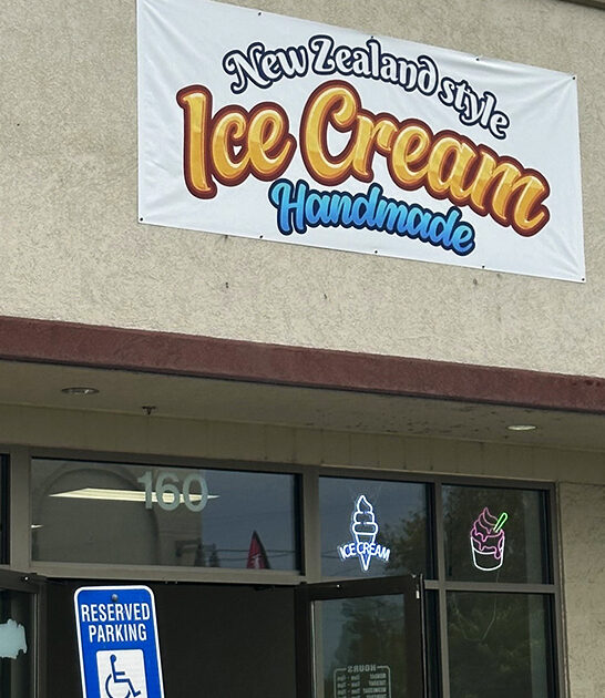 idaho homemade ice cream ftr