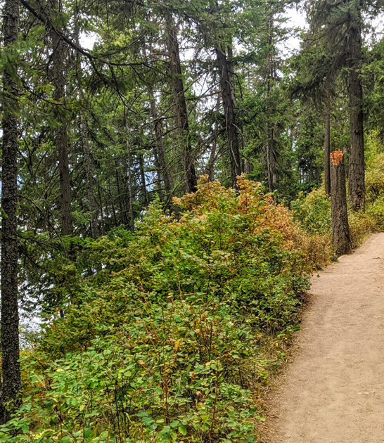 idaho scenic hike ftr