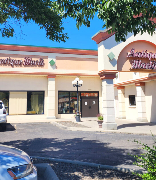 idaho underrated vintage store ftr