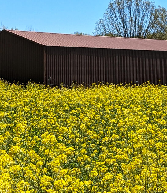 illinois state parks trip ftr