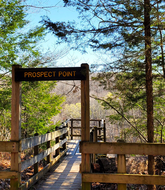 indiana 3000 acre park ftr