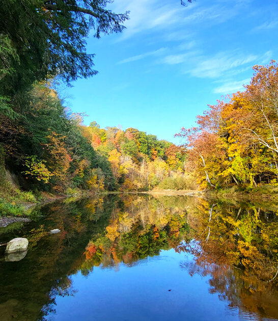 indiana park underrated ftr