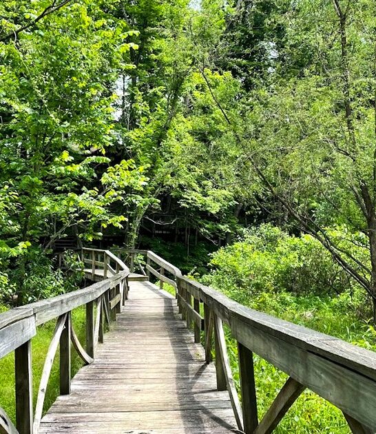 indiana state park fascinating ftr
