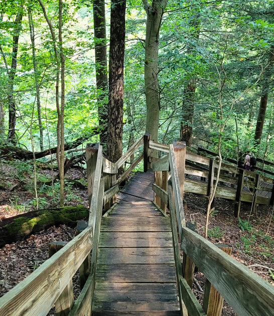 indiana state underrated park ftr