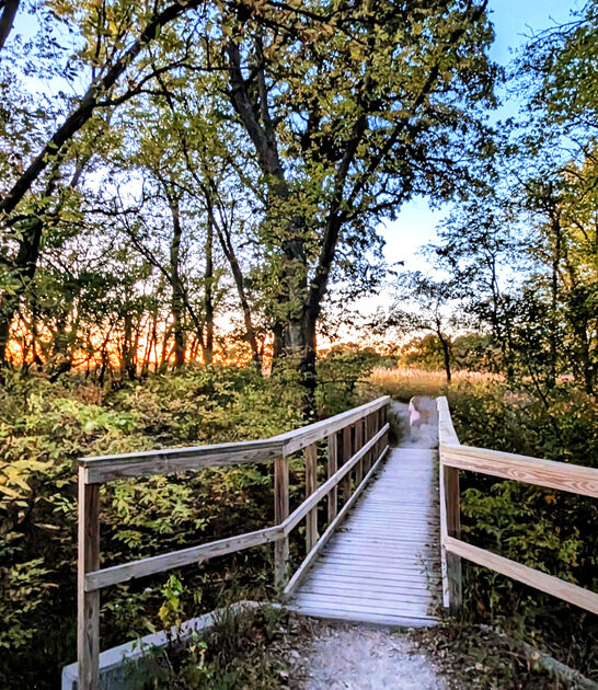 kansas stunning mile trail ftr